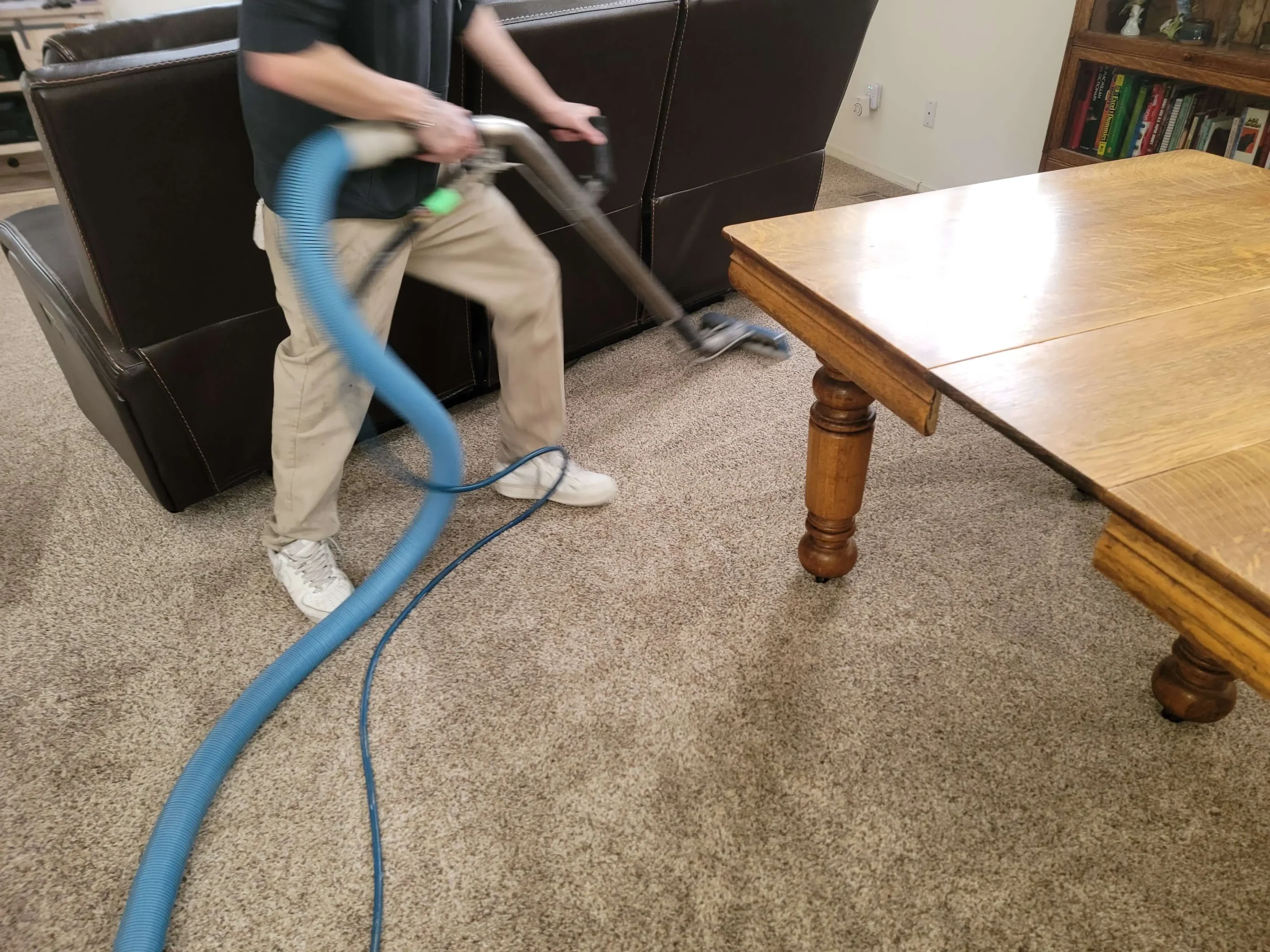 Carpet Types and Their Suitability And How They React To Pet Urine - KD ...